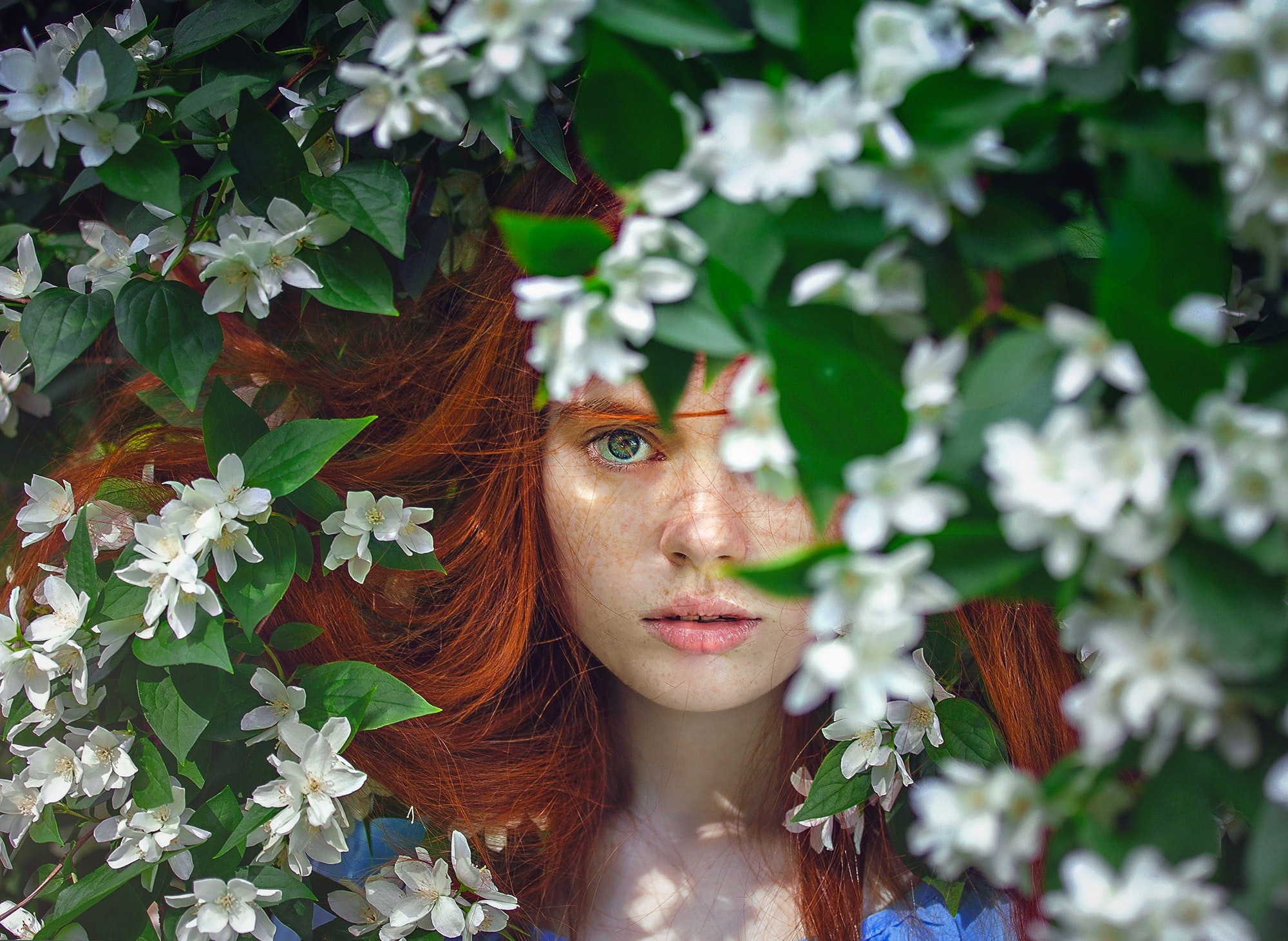 The Depth of True Beauty. | elephant journal