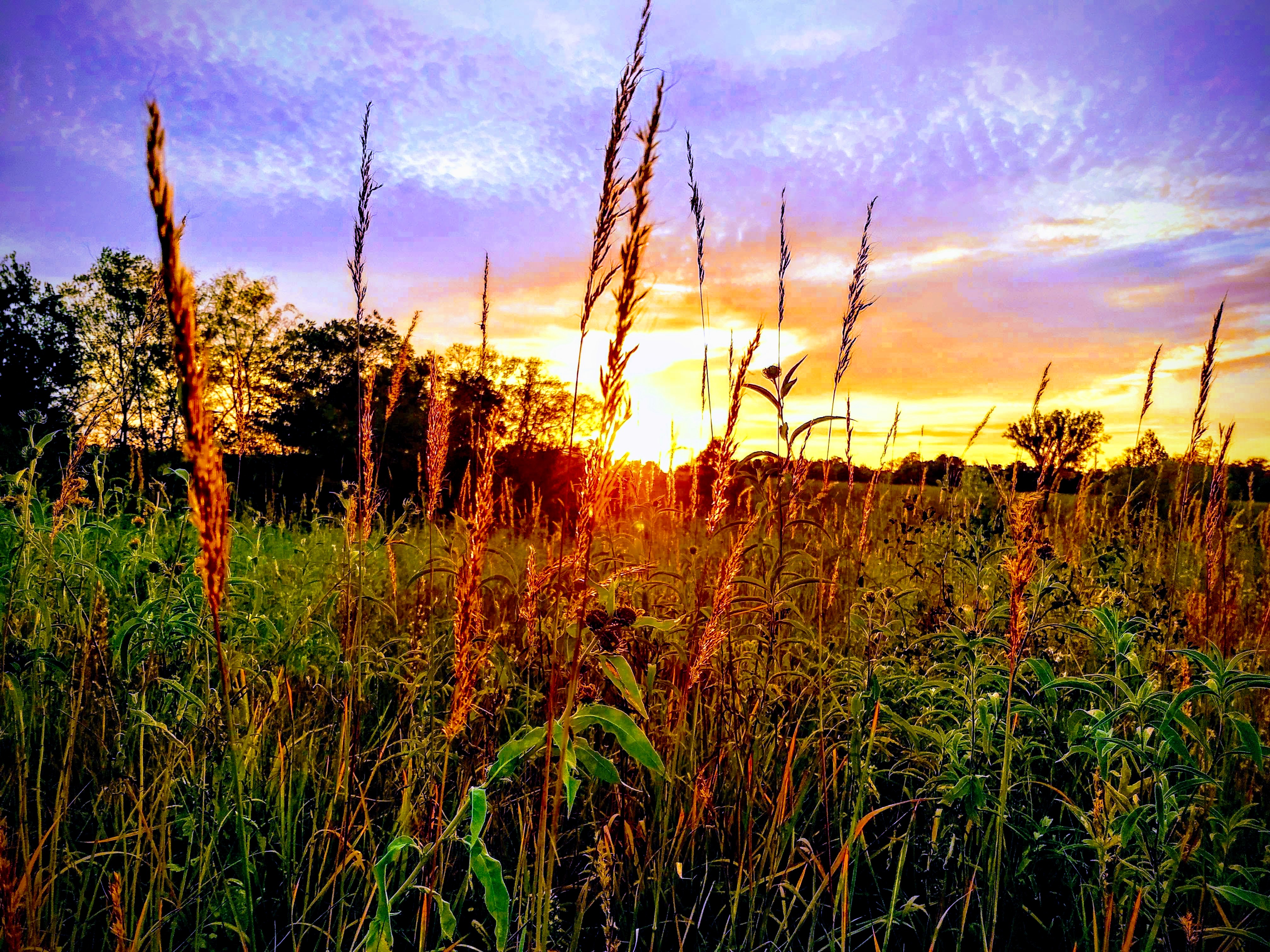 Attributes of a Hyper-Conscious Mind & Enlightened Soul | elephant journal