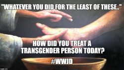 Effective Pro-Transgender Meme’s | elephant journal