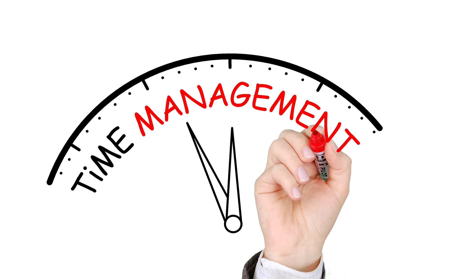 6 Time Management Tips to Improve Health and Productivity | elephant ...