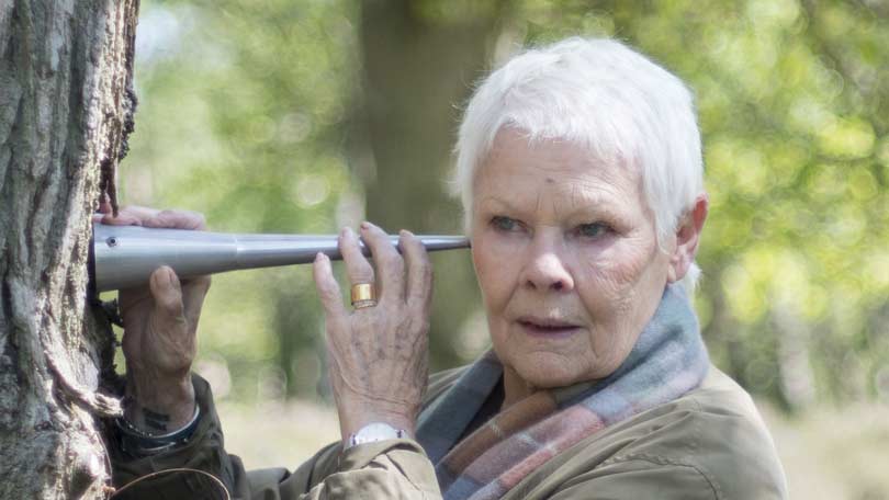 The Secret of Communicating with Trees. Yes, Trees! | elephant journal