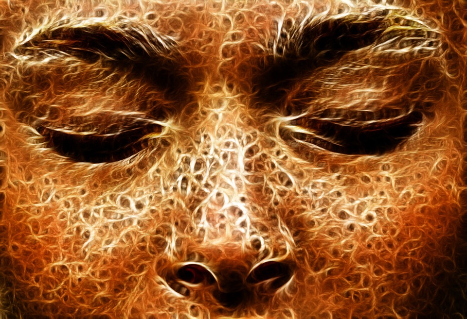 Getting through Life as Highly Sensitive People without Putting Out our ...