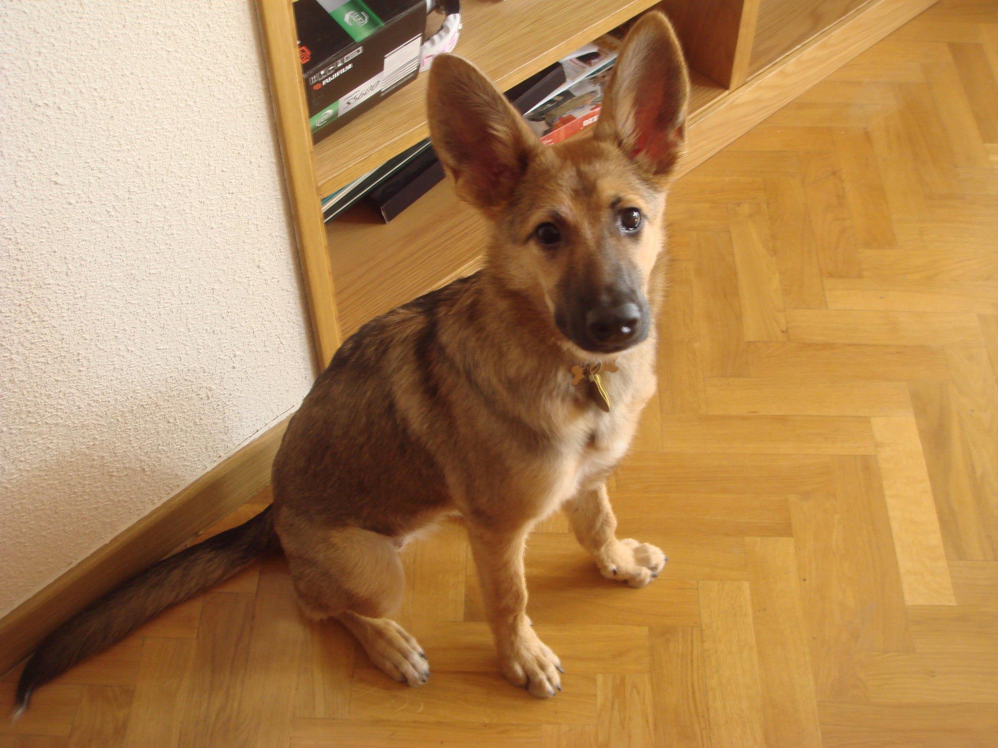 The Power of Intention – now what else is possible? | elephant journal