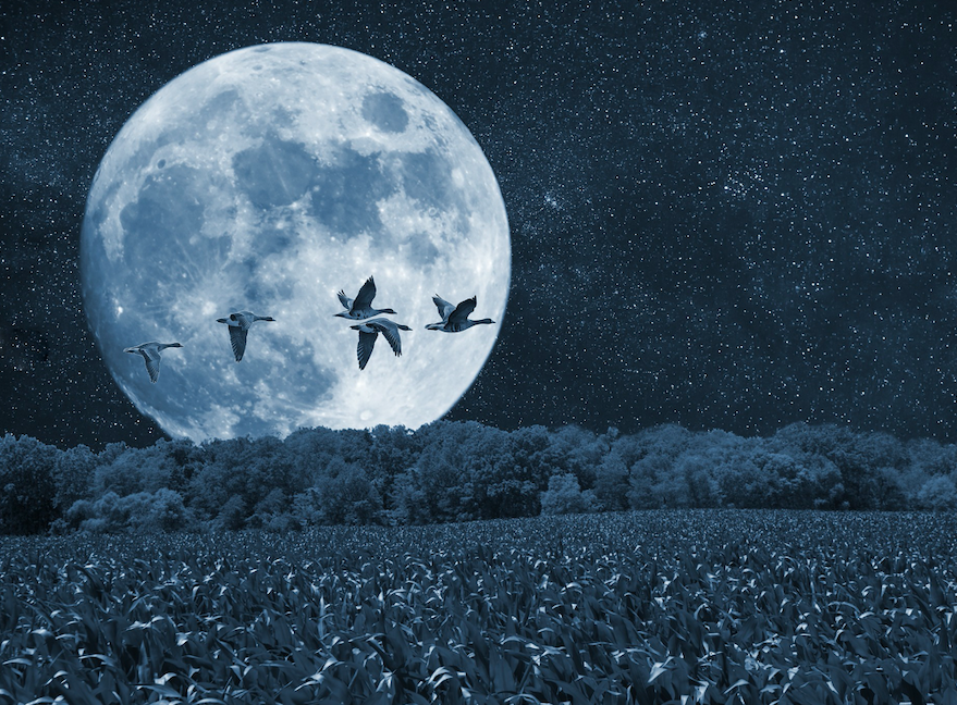 April 19th Full Moon: Words to Awaken your Hidden Creative Mind ...