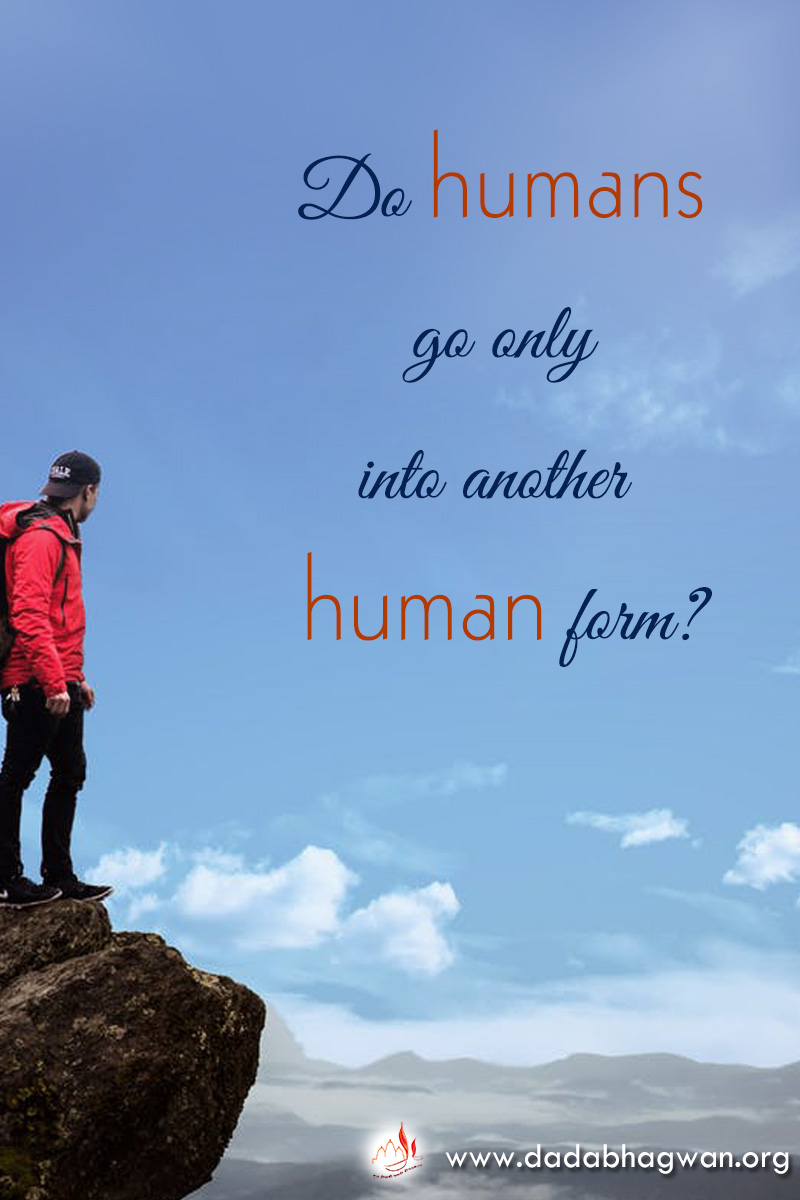 Significance of Human Life | elephant journal