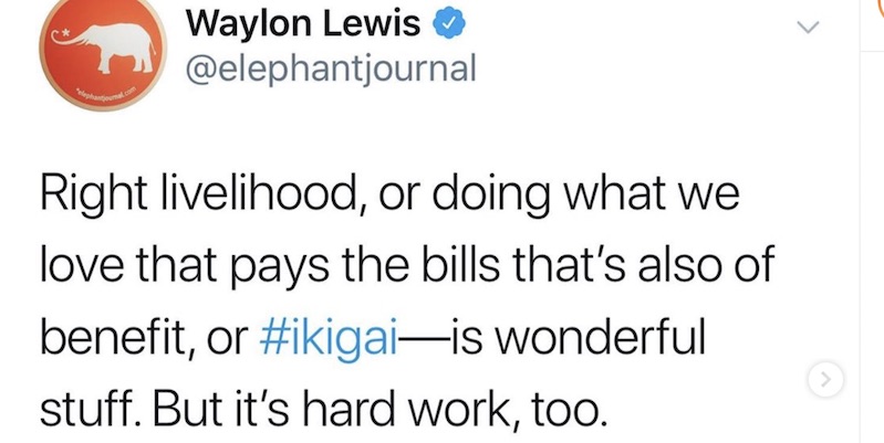 The notion of Ikigai or Right Livelihood can Save our World by Serving ...