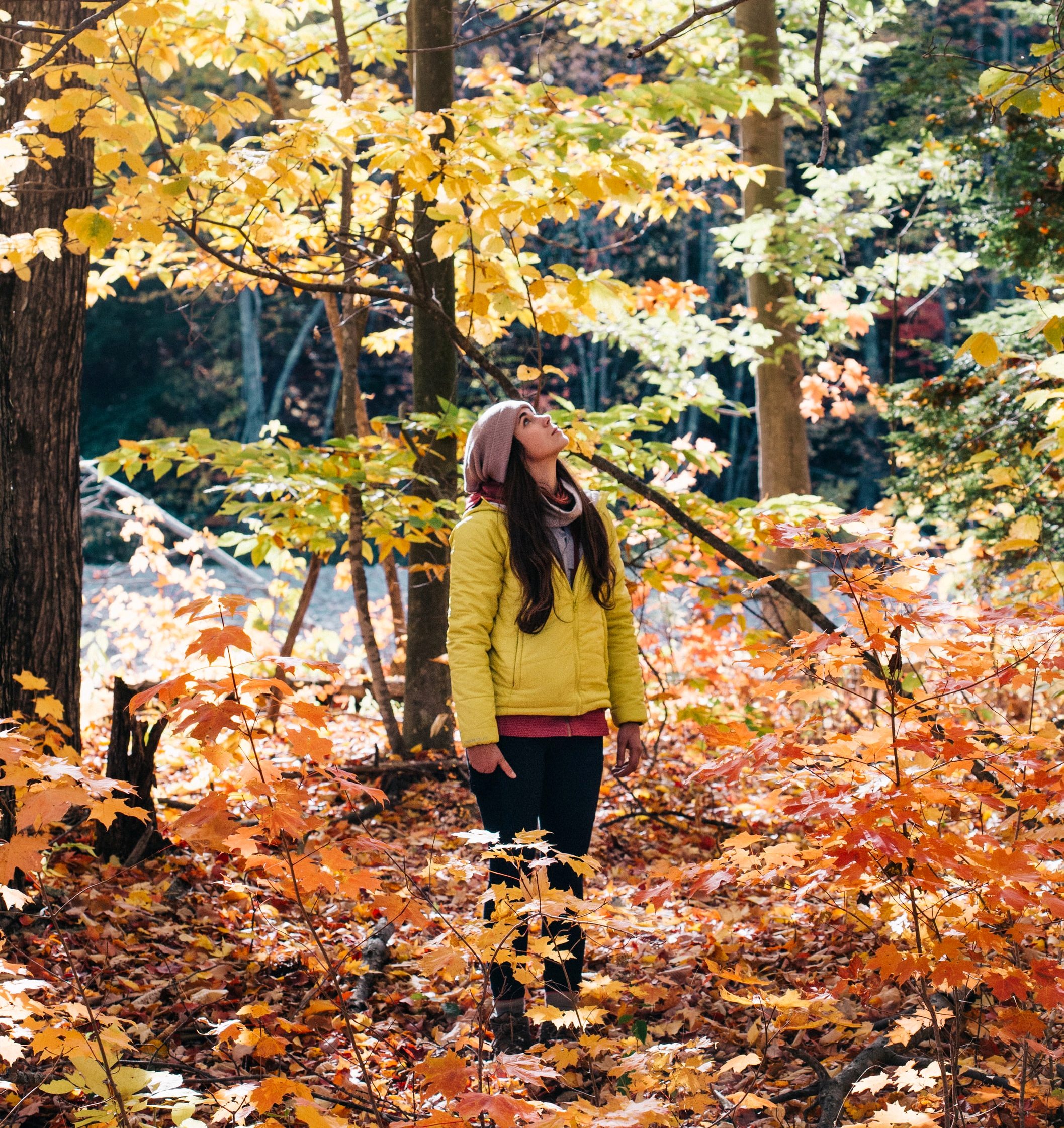 The Undeniable Significance of Fall. | elephant journal