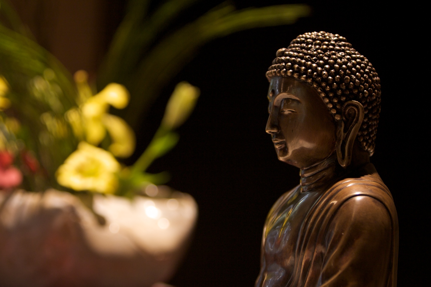 “That’s exactly why you should stay” | elephant journal