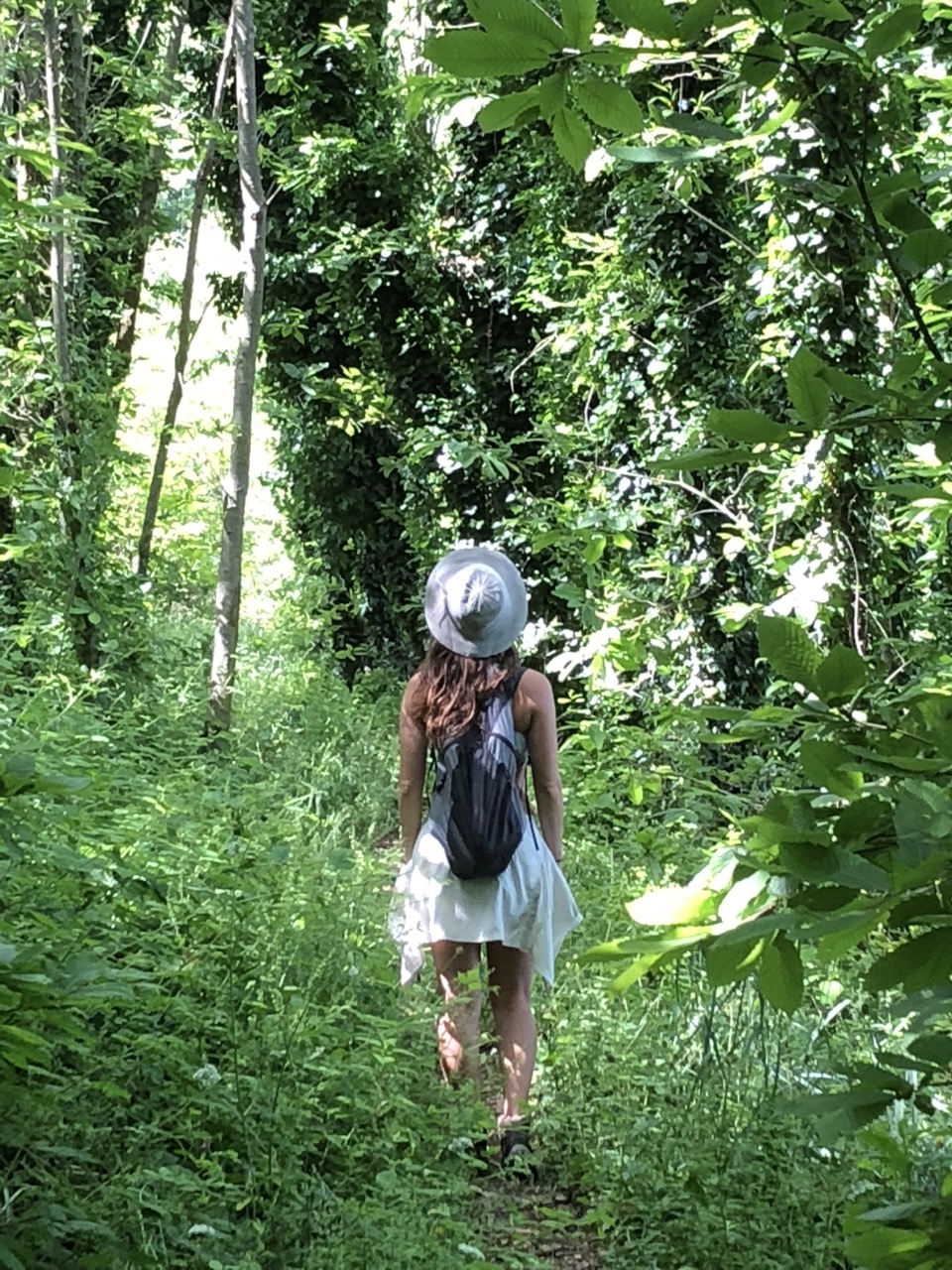 Key Lessons from Aimless Wandering for Times of Chaos {Book Excerpt ...