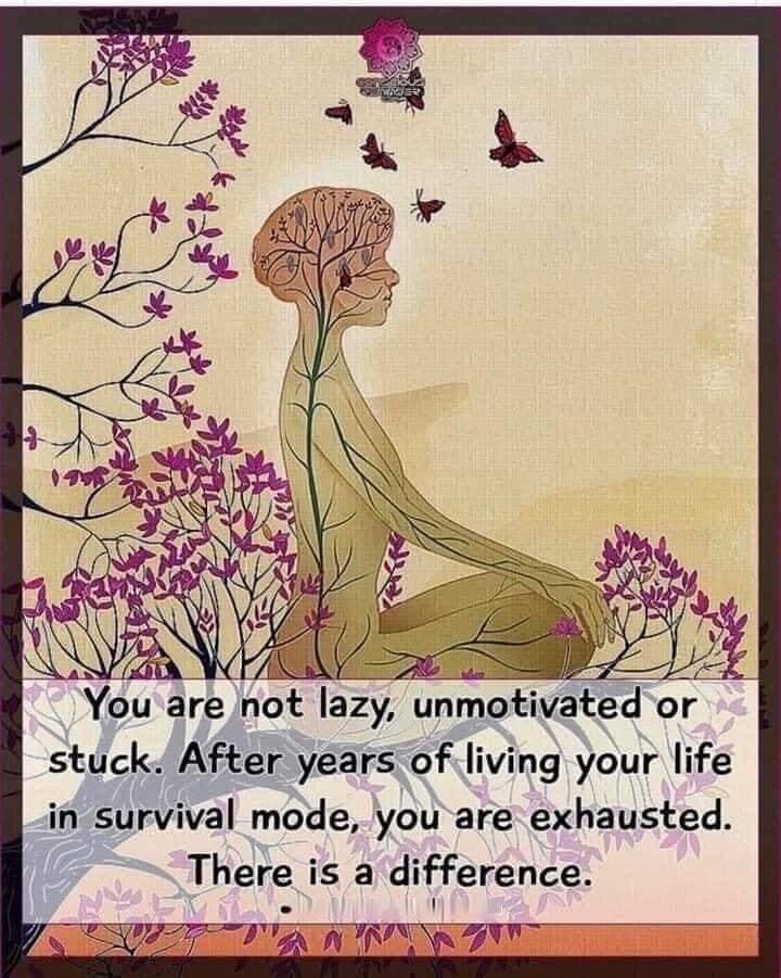 Your thoughts, feelings, and experiences as a human matter | elephant ...