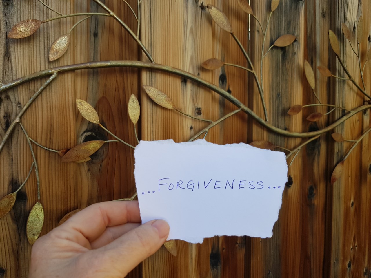 Forgiveness…And How I Am Able to Embrace it Now. | elephant journal