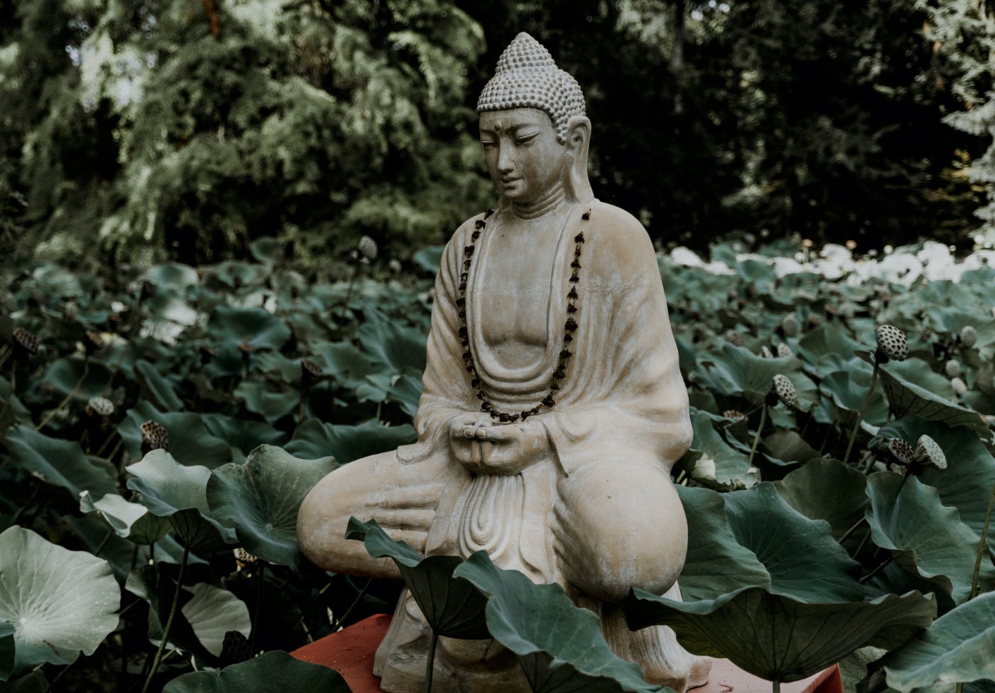 Don’t Scratch; Feel the Itch. Why we Seek Distraction & How to Stop ...