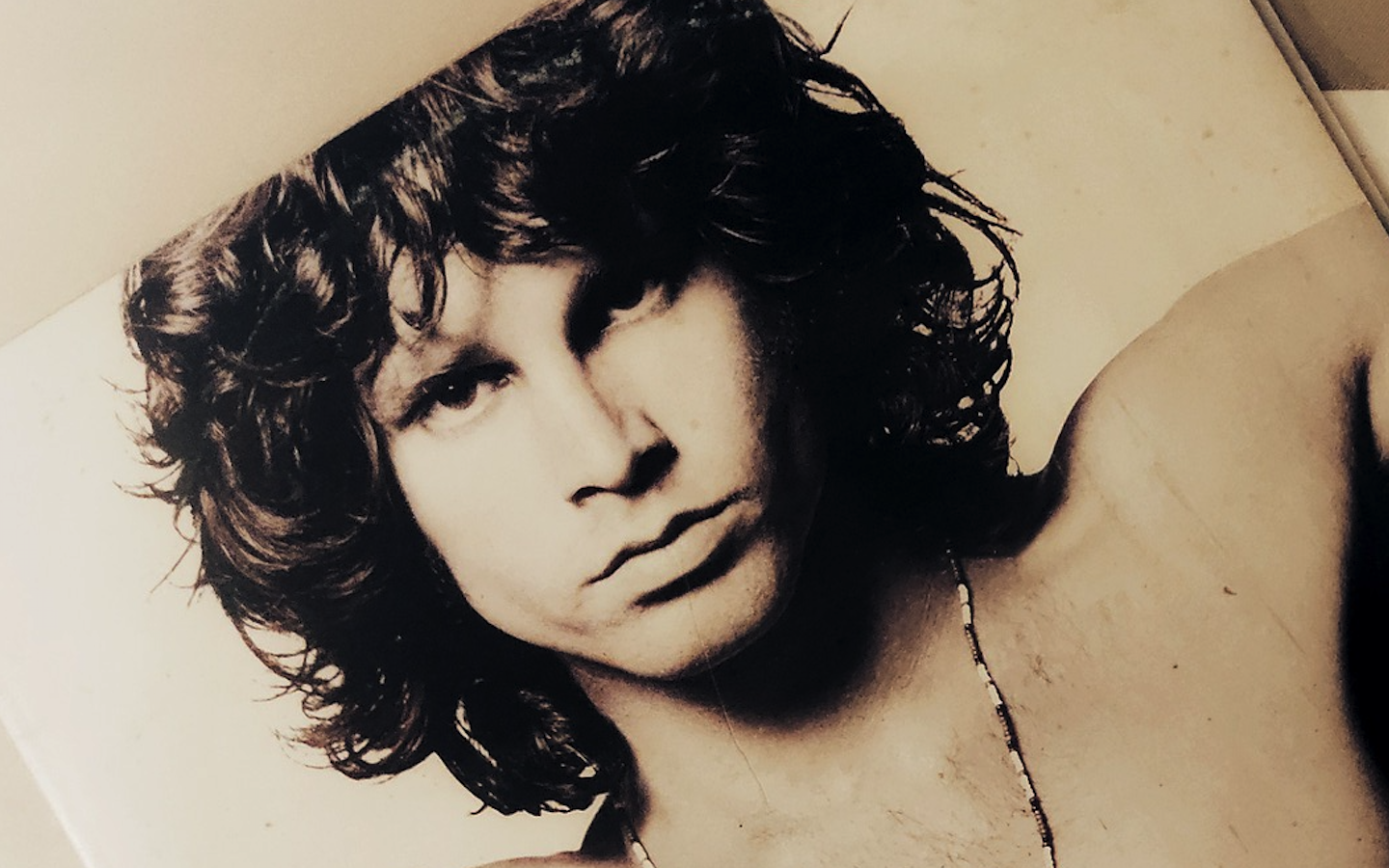 These 10 Jim Morrison Quotes are like Music for the Soul. | elephant ...
