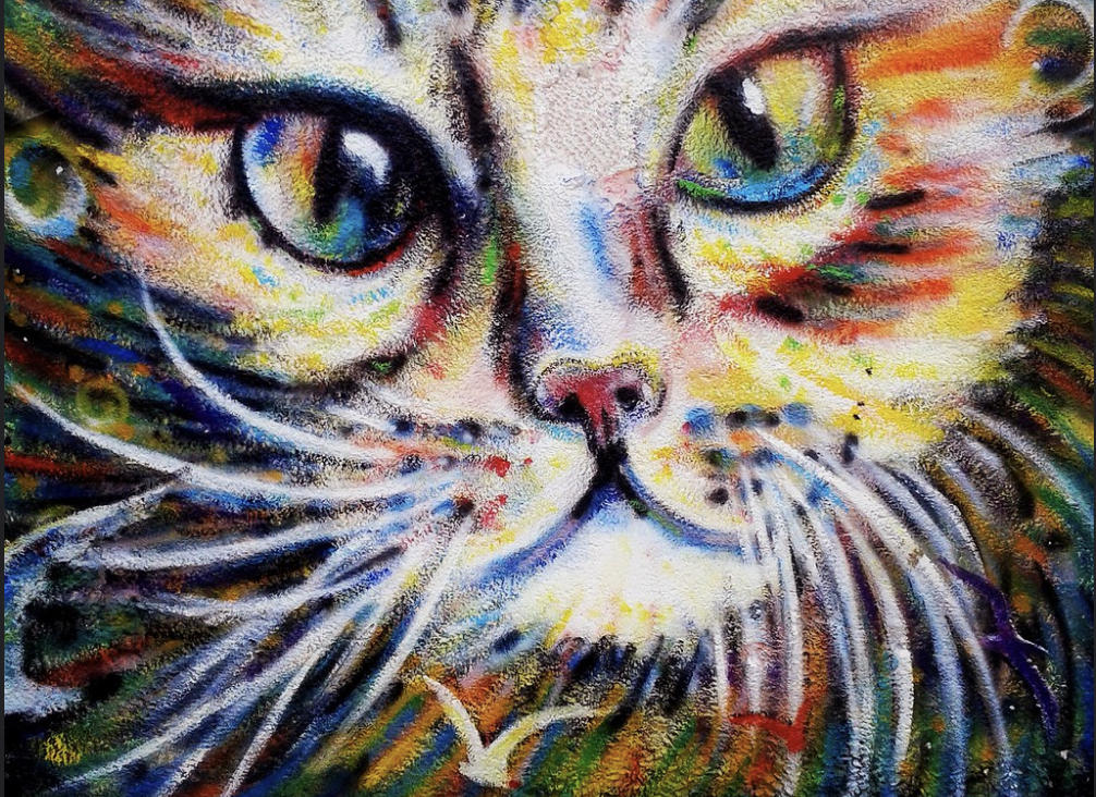 Bugged? I’m taking this Hypervigilance lesson from my Cat. | elephant ...