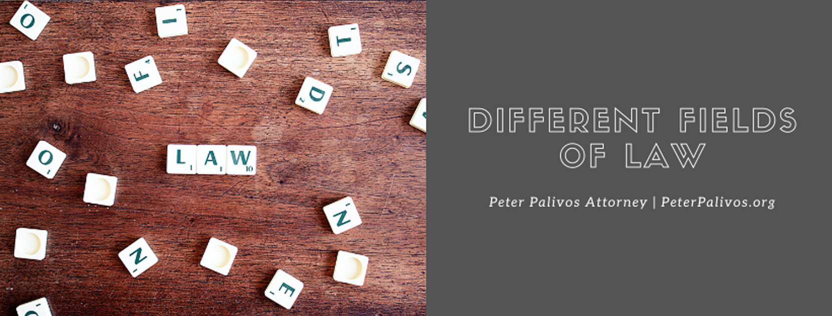 Different Fields of Law | Peter Palivos | elephant journal