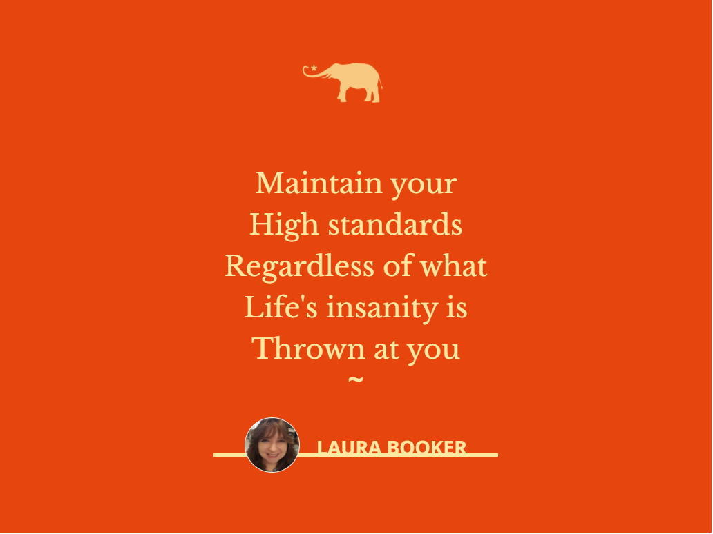 Maintain Your High Standards | elephant journal