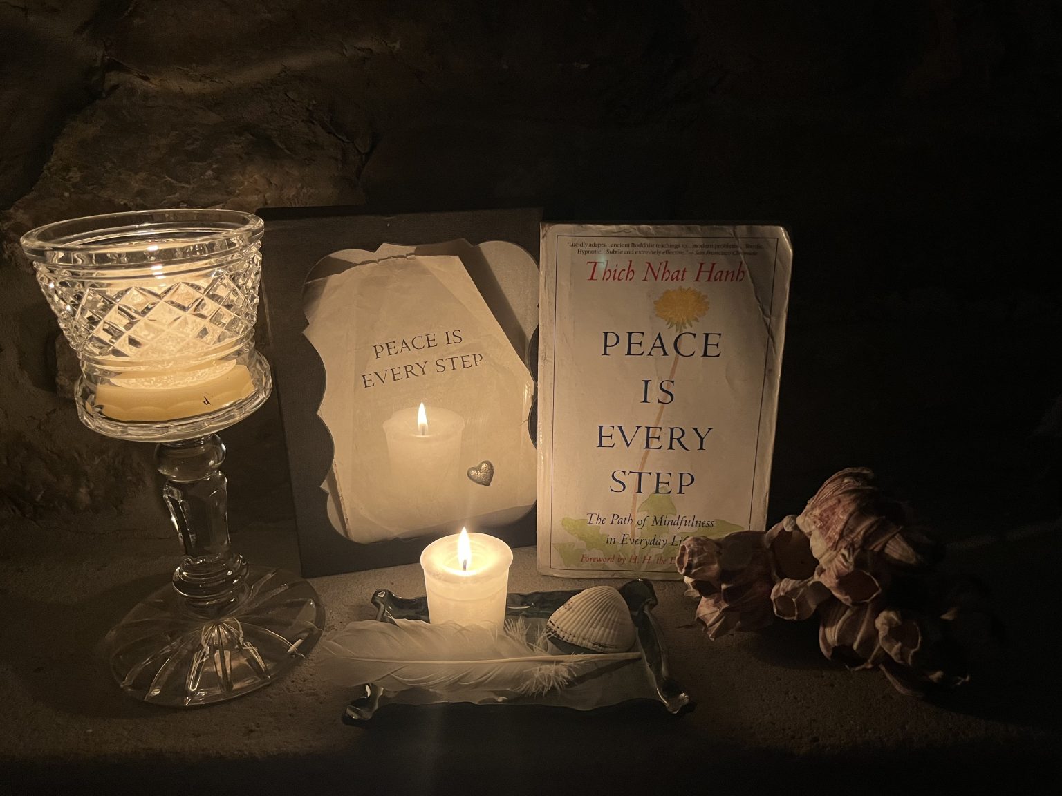 “Peace is Every Step”: How Thich Nhat Hanh Changed my Life for the ...