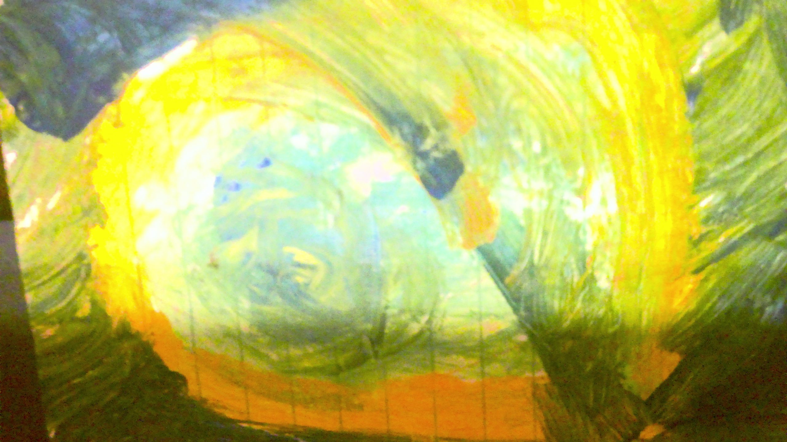 chey | elephant journal