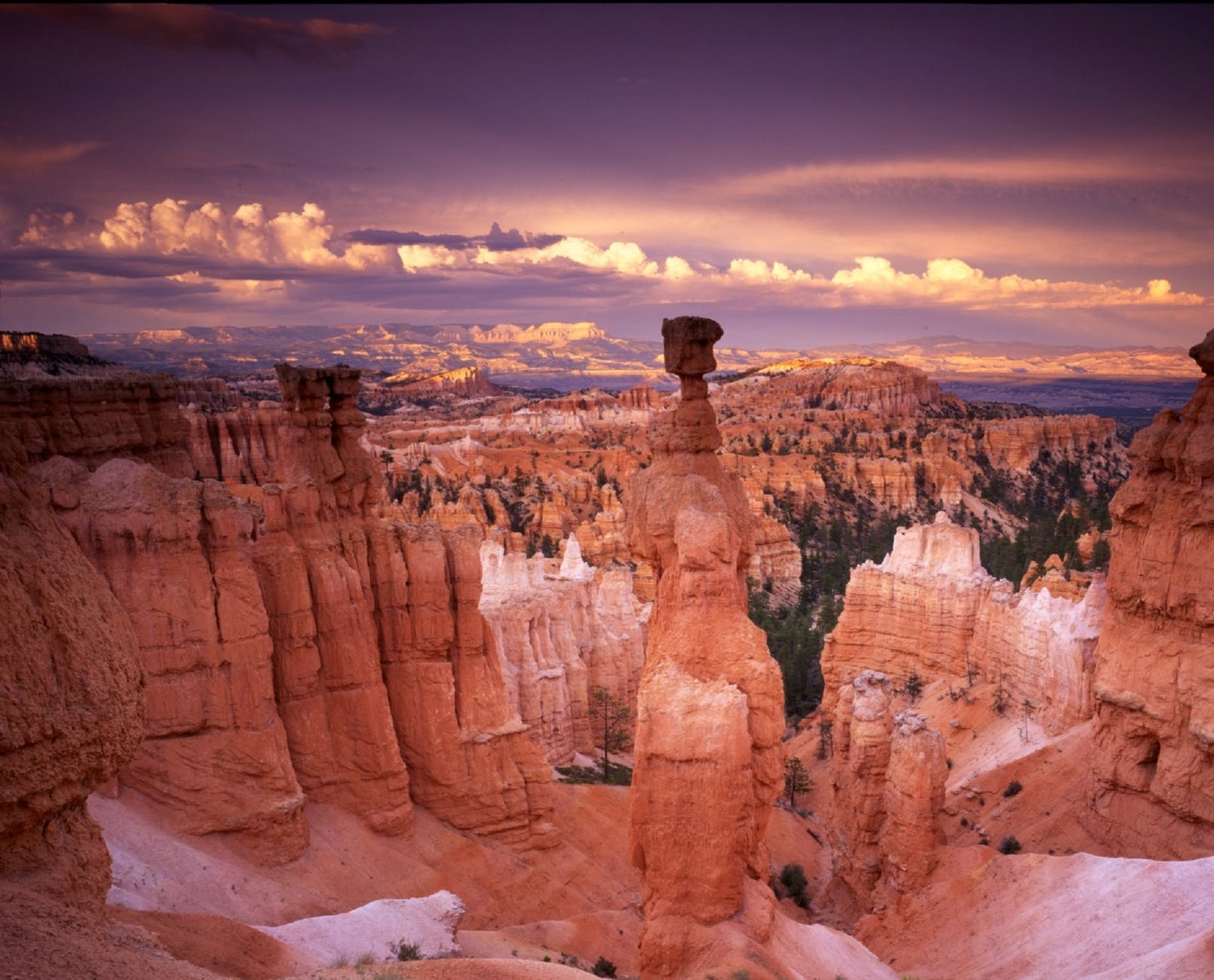 The Best National Parks to Visit in the US | Erik Halvorsen | elephant ...