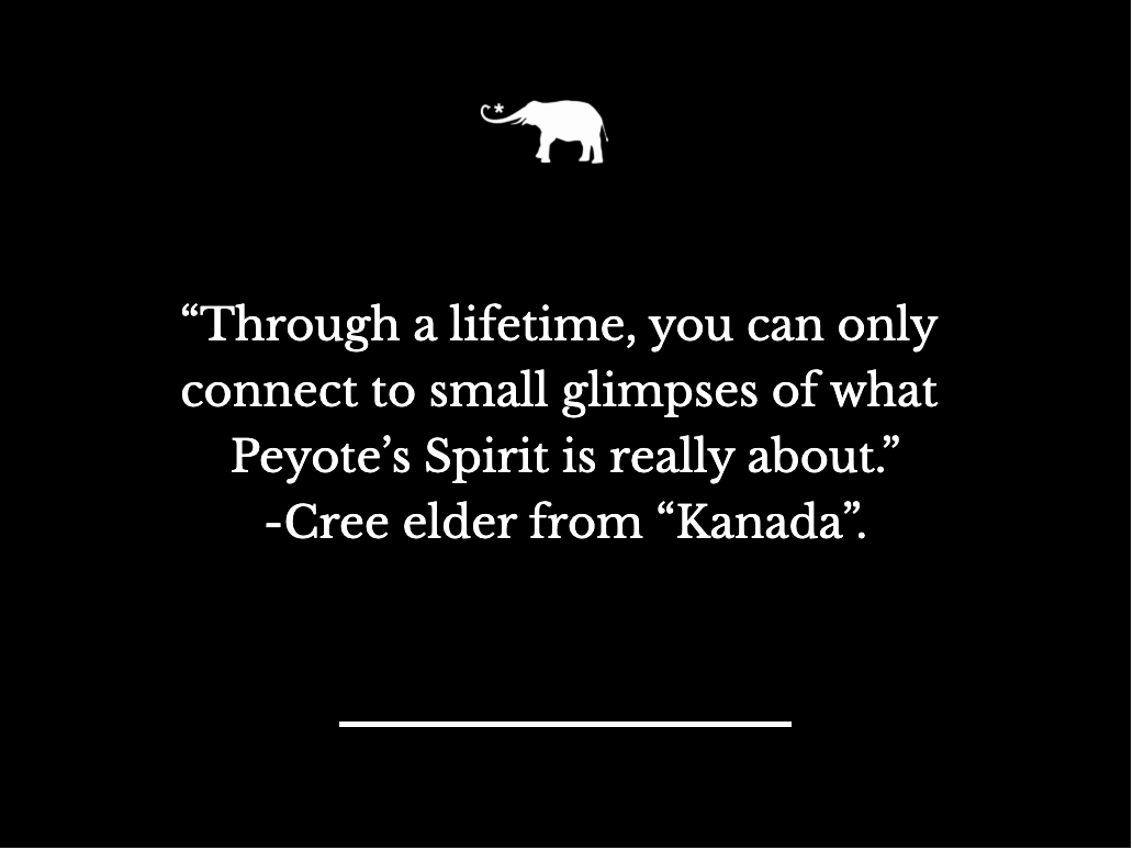 Light on Peyote / Pejuta Wakan | elephant journal