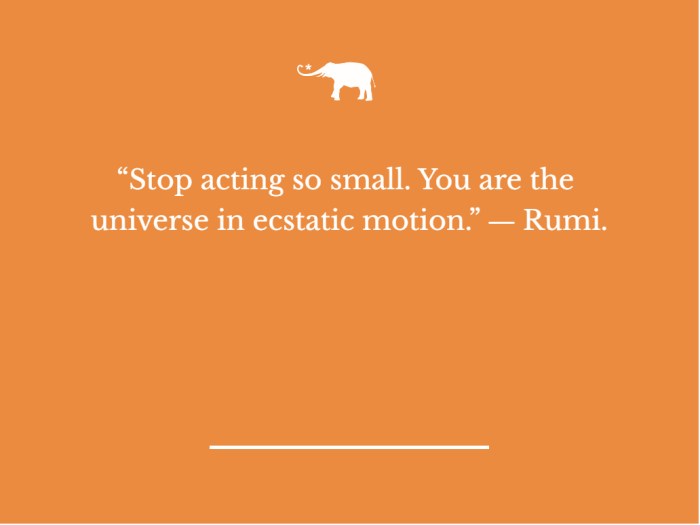 “Stop acting so small. You are the universe in ecstatic motion.” ― Rumi ...