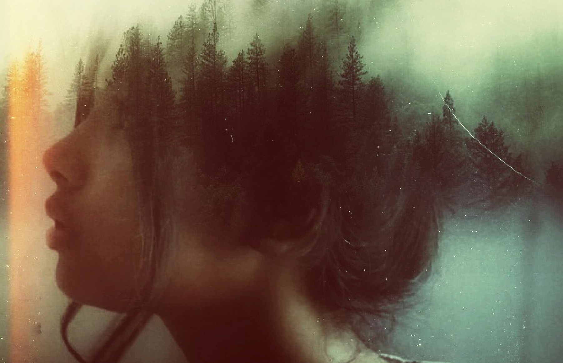 How Psychedelics create Lasting Healing from Trauma—& How to Start ...