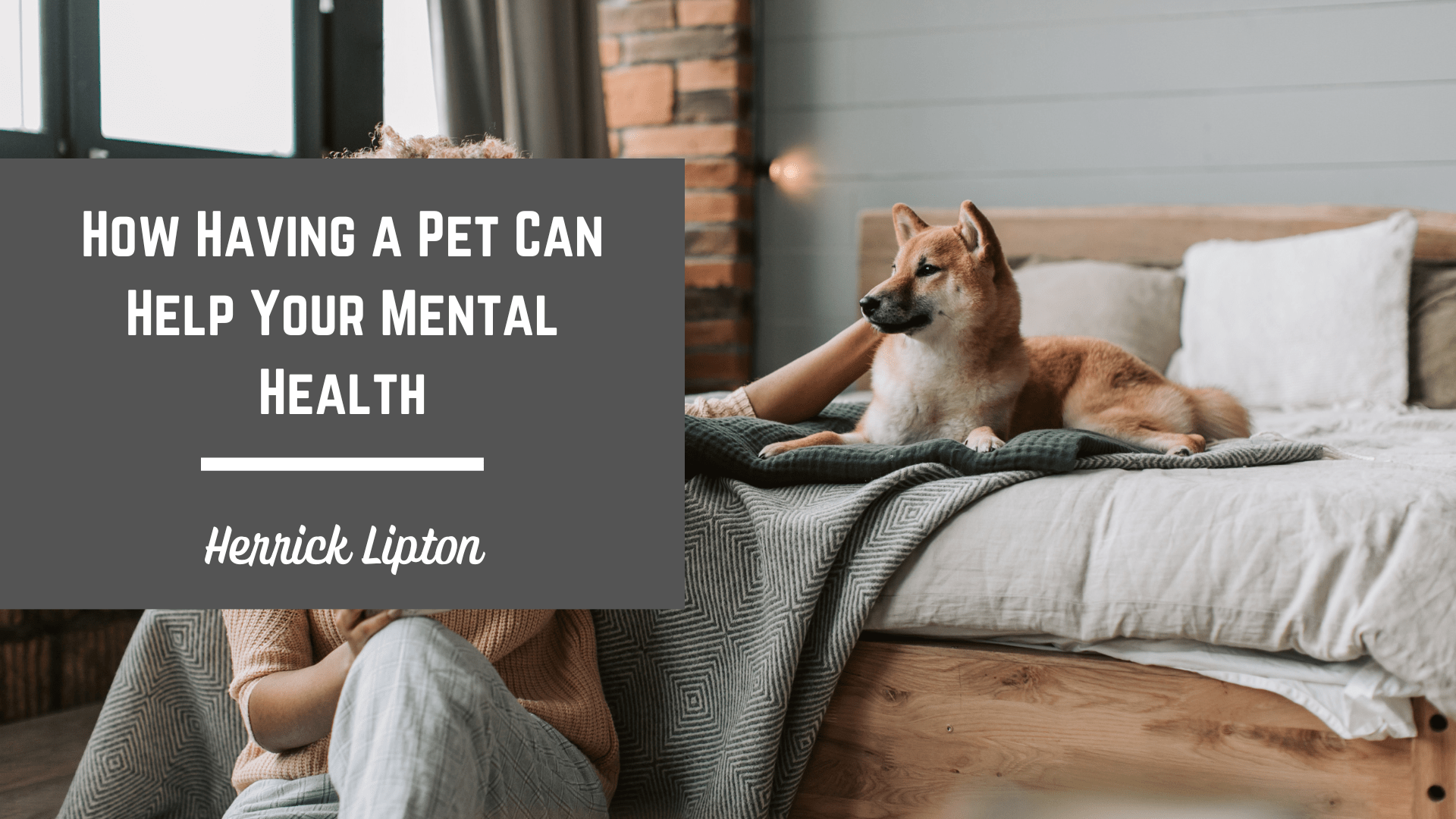 How Having a Pet Can Help Your Mental Health | elephant journal