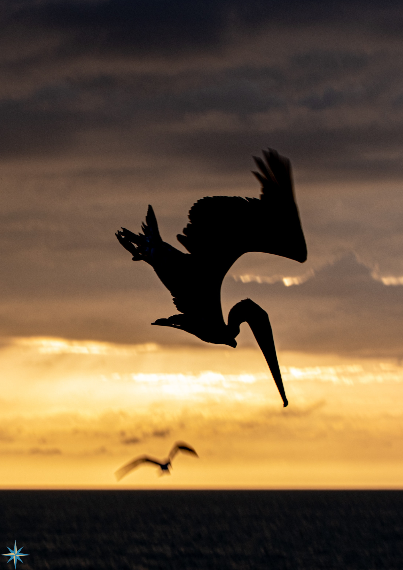 What We Can Learn When our Flight Path Changes | elephant journal