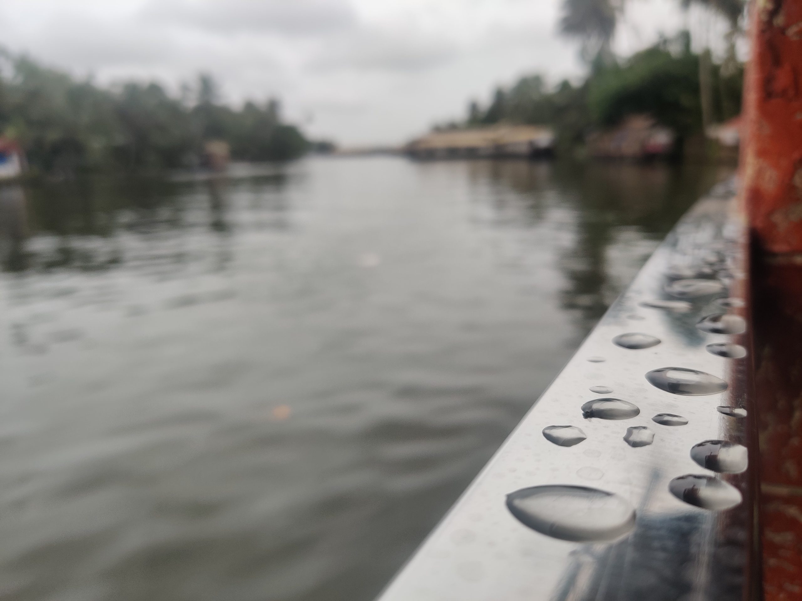 The Girl with the Platypus Lips | elephant journal