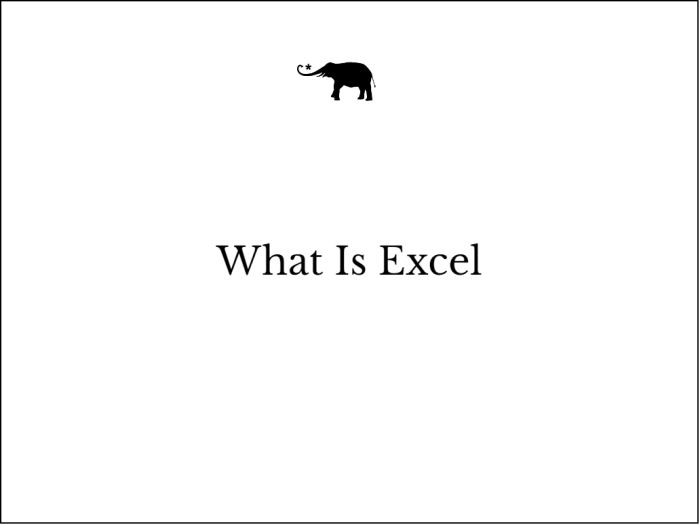 What Is Excel | elephant journal