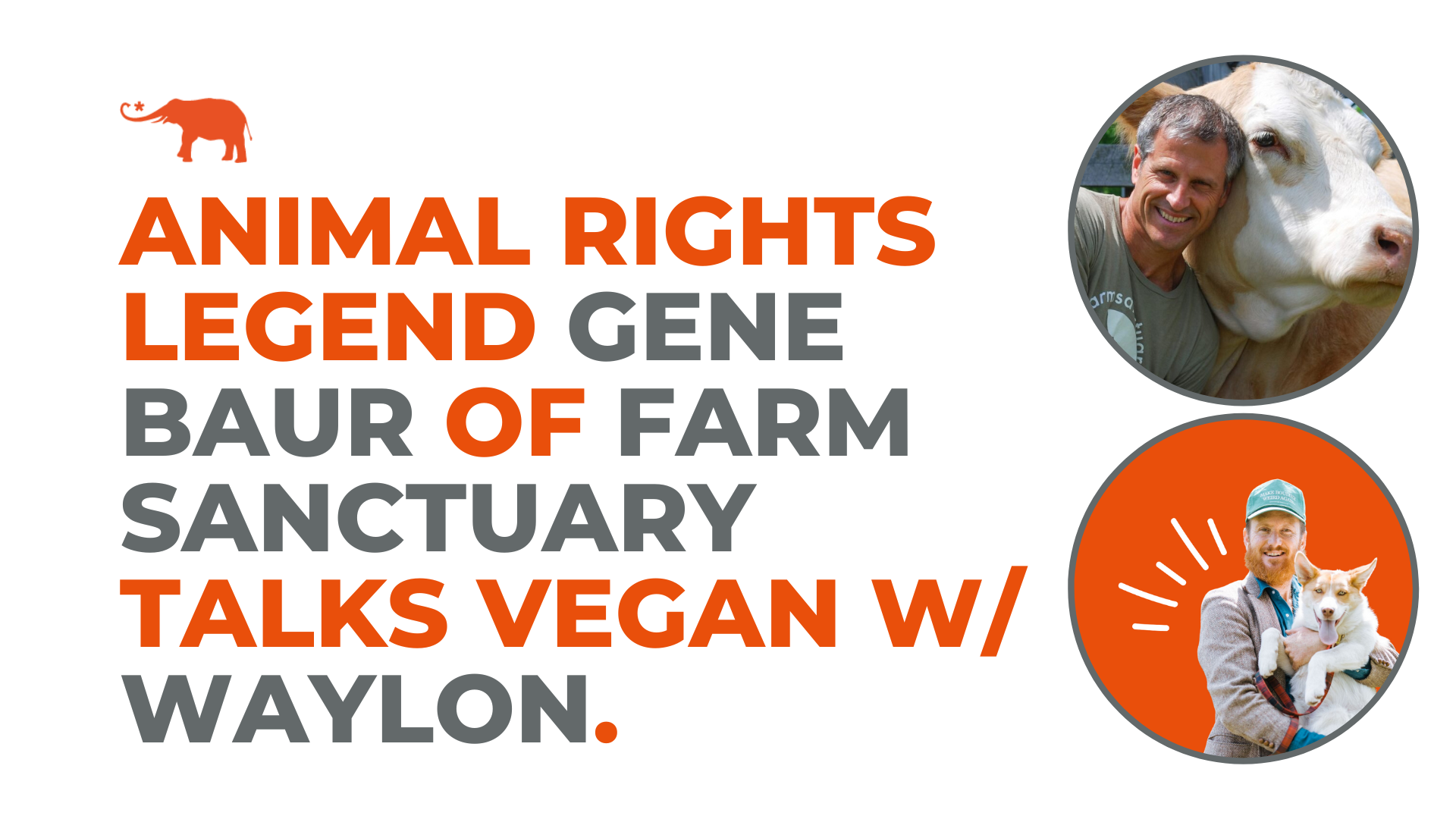 Animal Rights legend Gene Baur of Farm Sanctuary talks Vegan w/Waylon ...