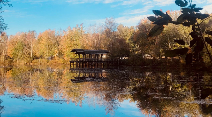 6 Steps for Reflecting Love in Your Life. | elephant journal