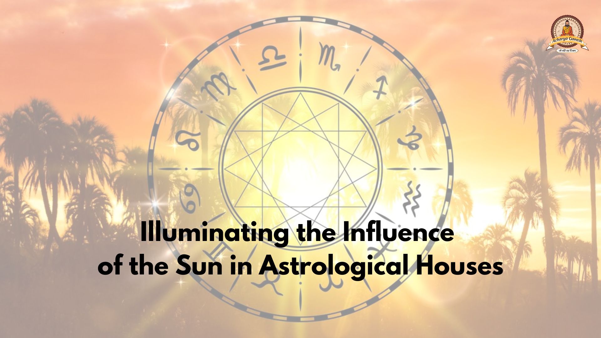 Illuminating the Influence of the Sun in Astrological Houses | elephant ...