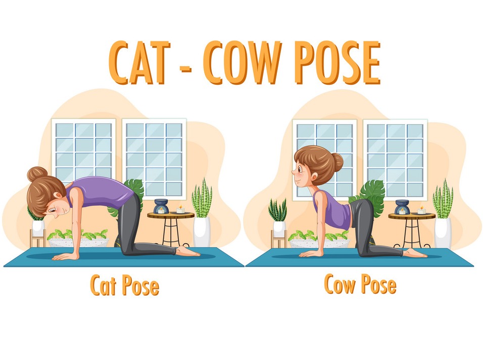Cat-Cow Yoga Pose | elephant journal