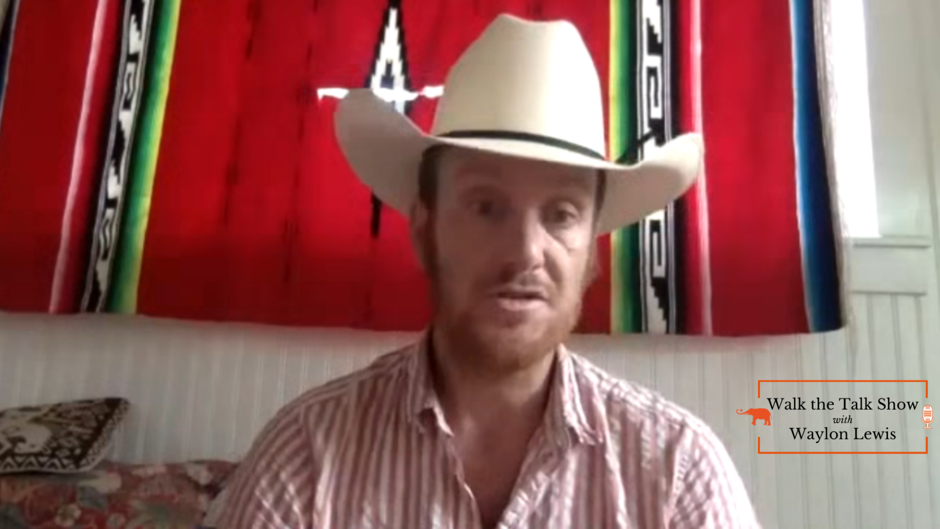 This one’s Especially for you, White Males. ~ Waylon Lewis | elephant ...