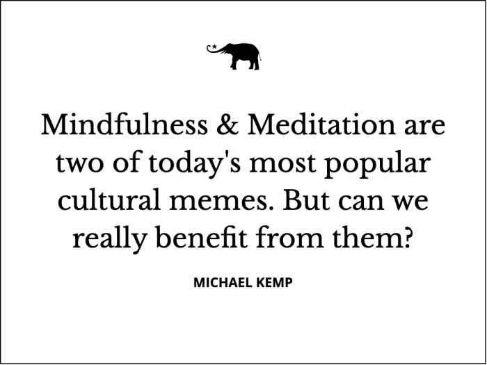 Mindfulness & Meditation are two of today’s most popular cultural memes ...