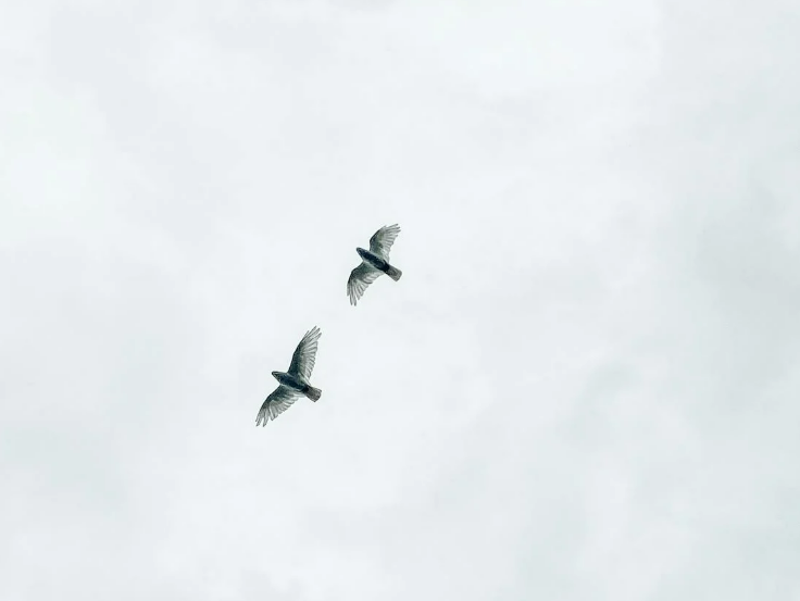 The Ultimate Test of Life—How to Love. | elephant journal