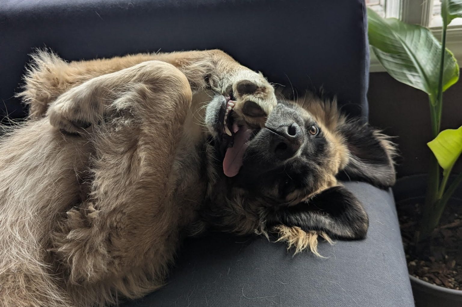 Frustration is an Invitation—if we Accept It. | elephant journal