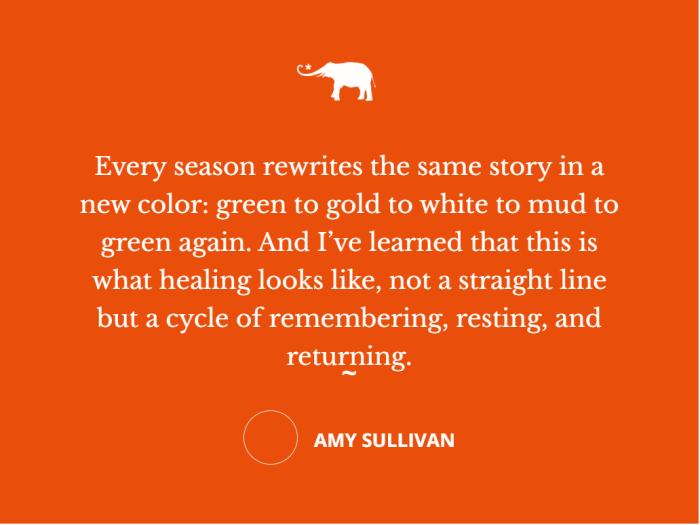 Every season rewrites the same story in a new color: green to gold to ...